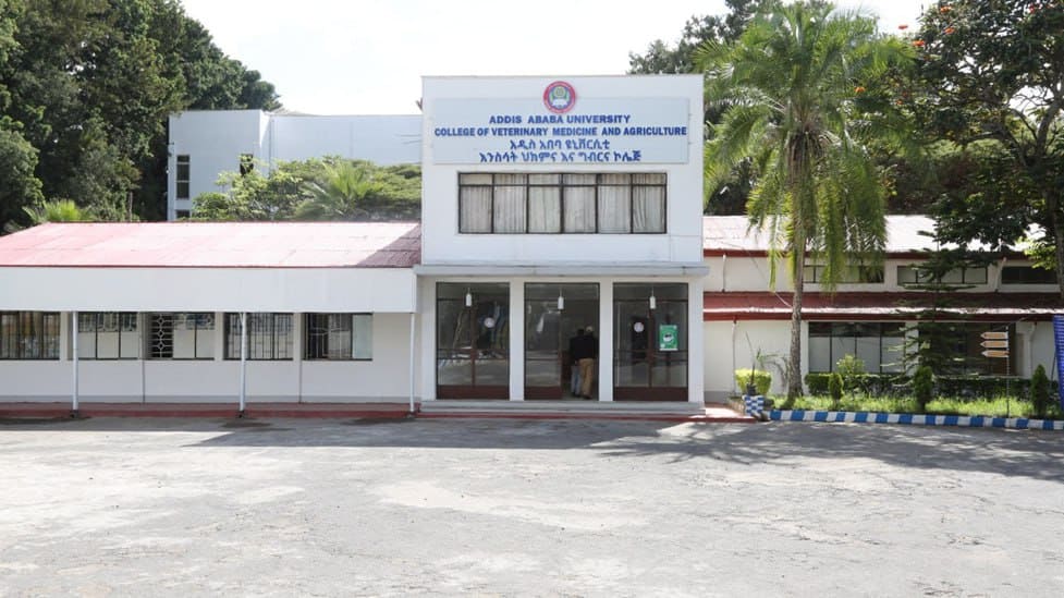 AAU | Addis Ababa University